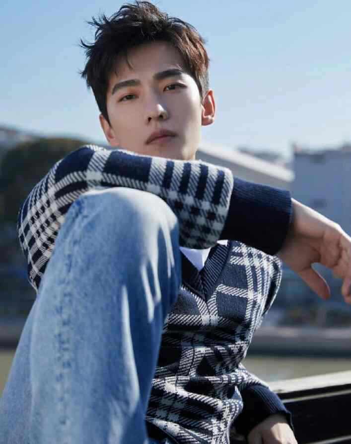 Biodata dan Profil Lengkap Yang Yang (Chinese Actor) - Nona Mandarin