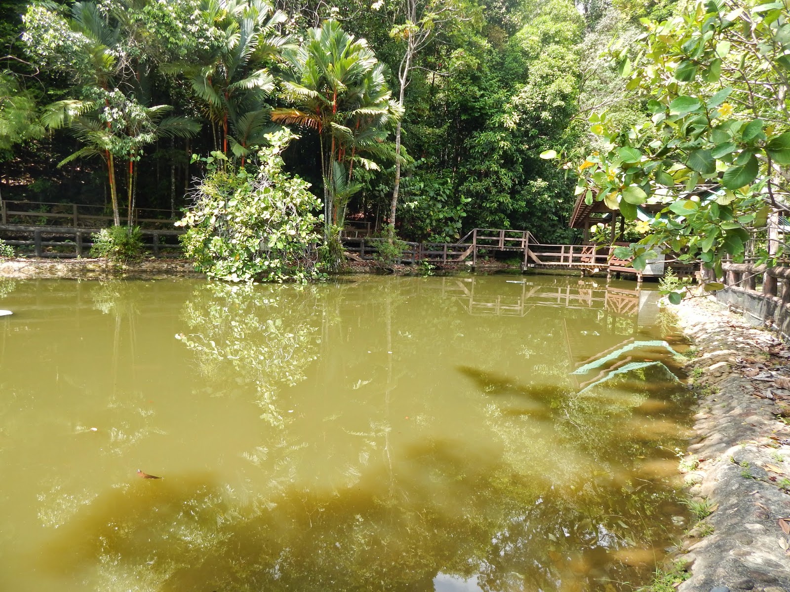 The Amazing place in BRUNEI DARUSSALAM : Taman Sungai Liang Kuala ...