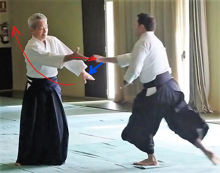 Shihonage directo Gyakuhanmikatatedori