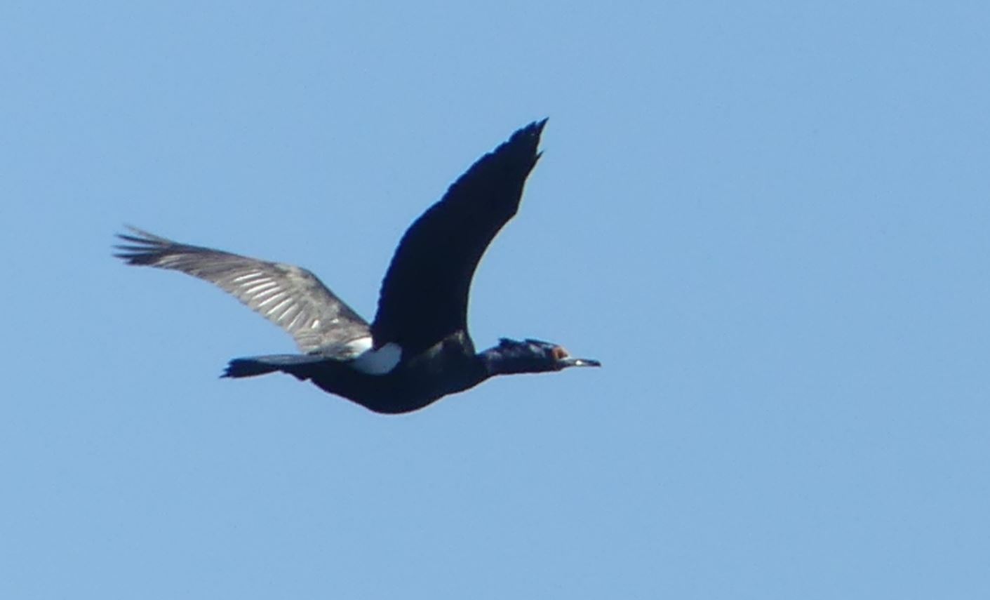 Kerfuffle-to-Go: Kenai Fjords National Park
