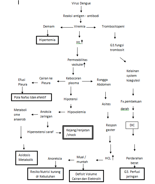 Askep DSS (DENGUE SHOCK SYNDROME)