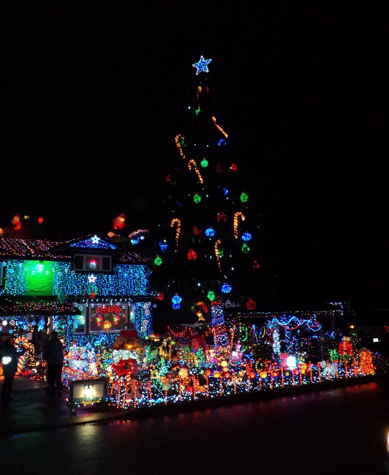 The Glass Character: Miracle on Rae Street