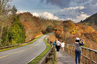 To Behold the Beauty: A Late Fall Trip to the Smokies