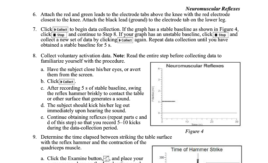 Human Anatomy & Physiology: Reflex Lab