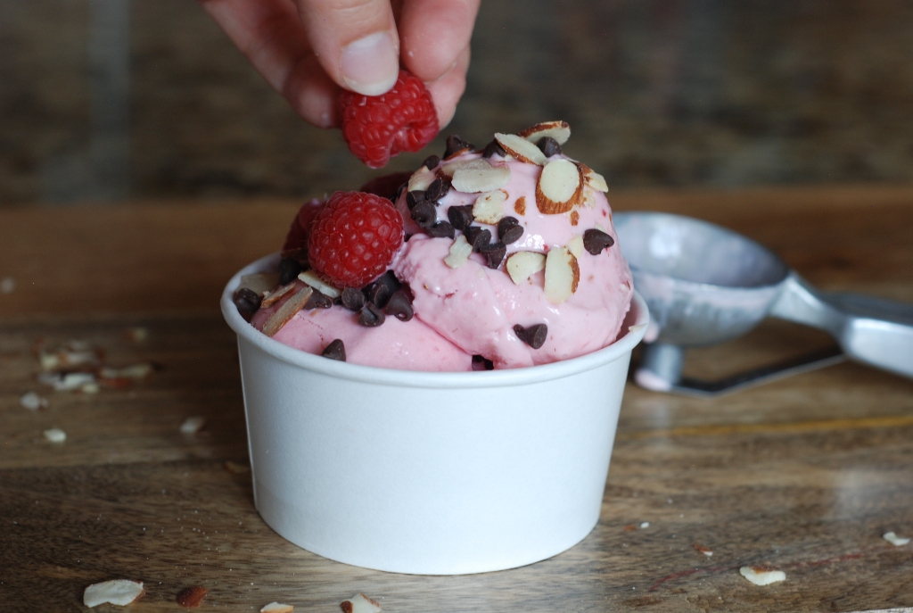 Berry Greek Fro-yo - Simply So Good