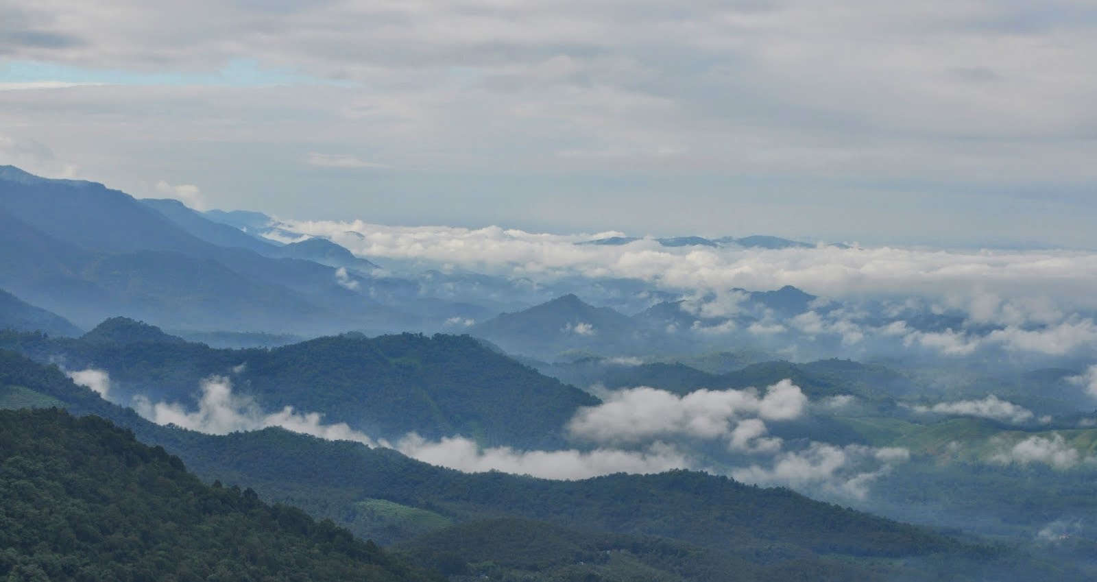 WAYANAD PANORAMA: THAMARASSERY GHAT Or THAMARASSERY CHRUAM