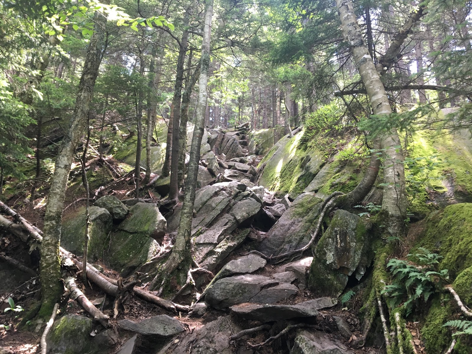 Mt Monadnock Monadnock State Park NH 52wav Hiking Conditions