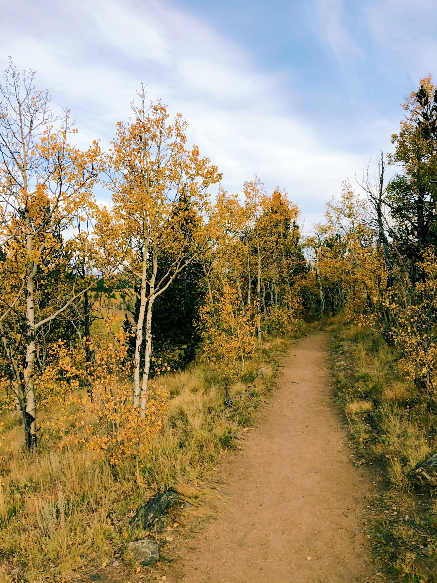 Haute Table: Denver's Best Fall Activities & Events 2021