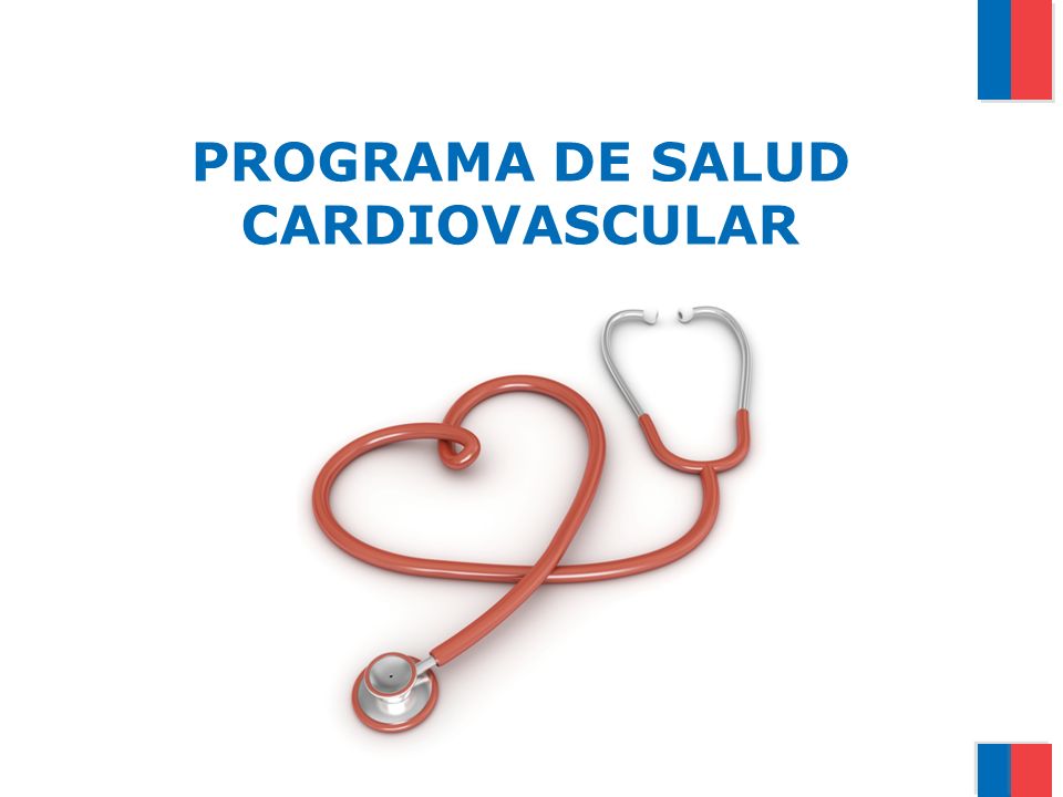 Programas de Salud en Chile: Programa de Salud Cardiovascular