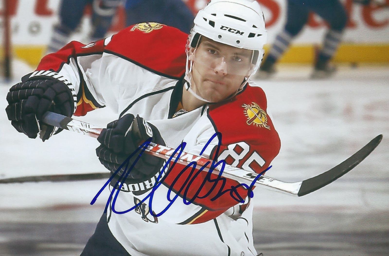 Aaron's Autographs: Bridgeport Sound Tigers @ Albany Devils 11/11/13
