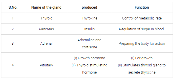 Questions and Answers Class 8 Chapter 5 Endocrine System and Adolescence