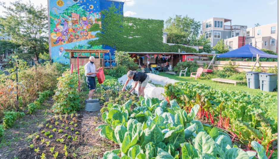 PA Environment Digest Blog: Neighborhood Gardens Trust Permanently ...