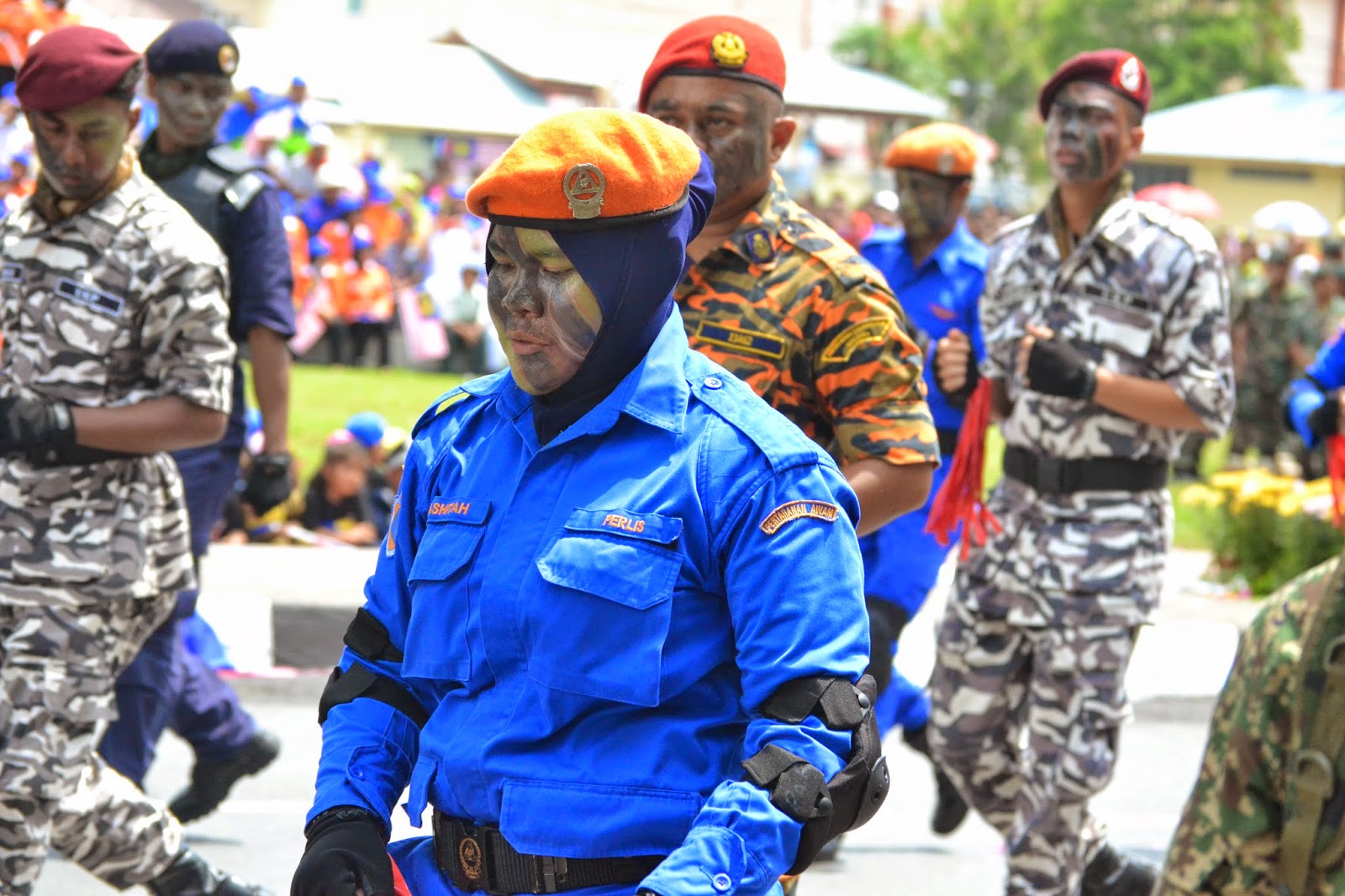 ::LAMAN BLOG ANGKATAN PERTAHANAN AWAM MALAYSIA NEGERI PERLIS::: WARNA ...