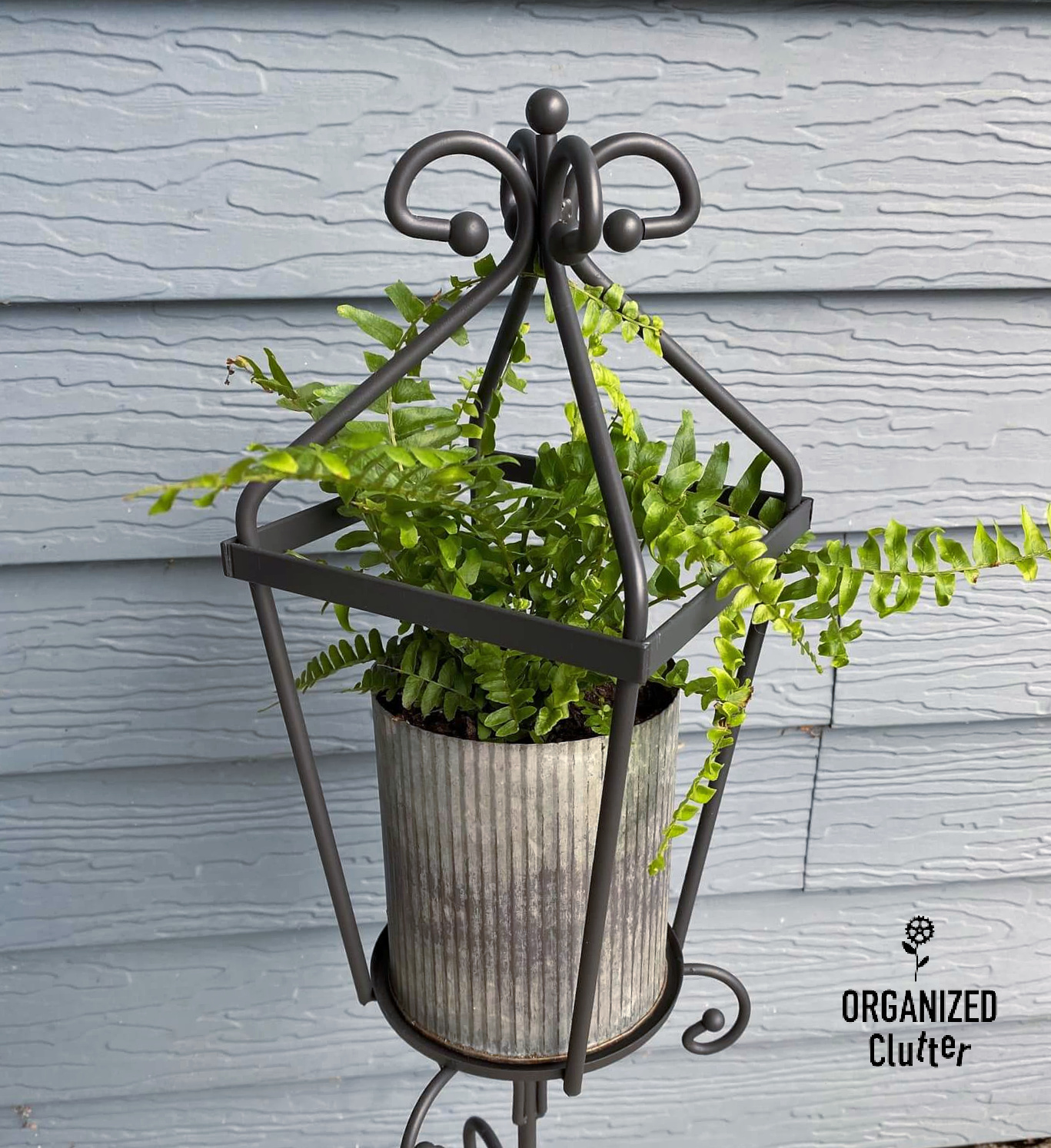 An Easy DIY Fern Stand From A Thrift Shop Find - Organized Clutter