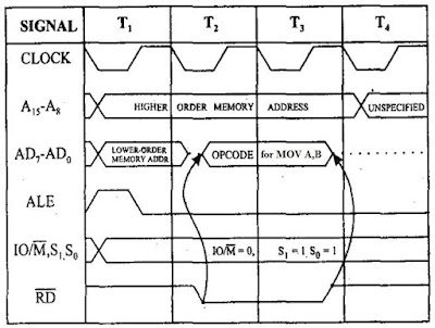 Education for ALL: Timing Diagram for MOV A,B