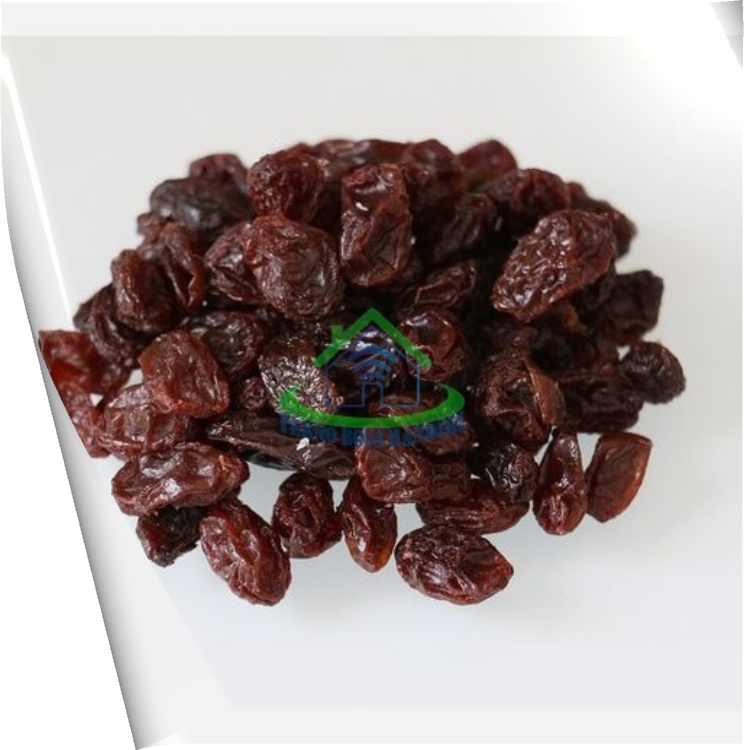 JUAL RAISIN DI JOGJA-YOGYAKARTA KILOAN MURAH ECERAN - TOKO DIDI JOGJA ...
