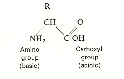 Art Quill Studio: Protein Fibers – Wool versus Silk[1]Art ResourceMarie ...