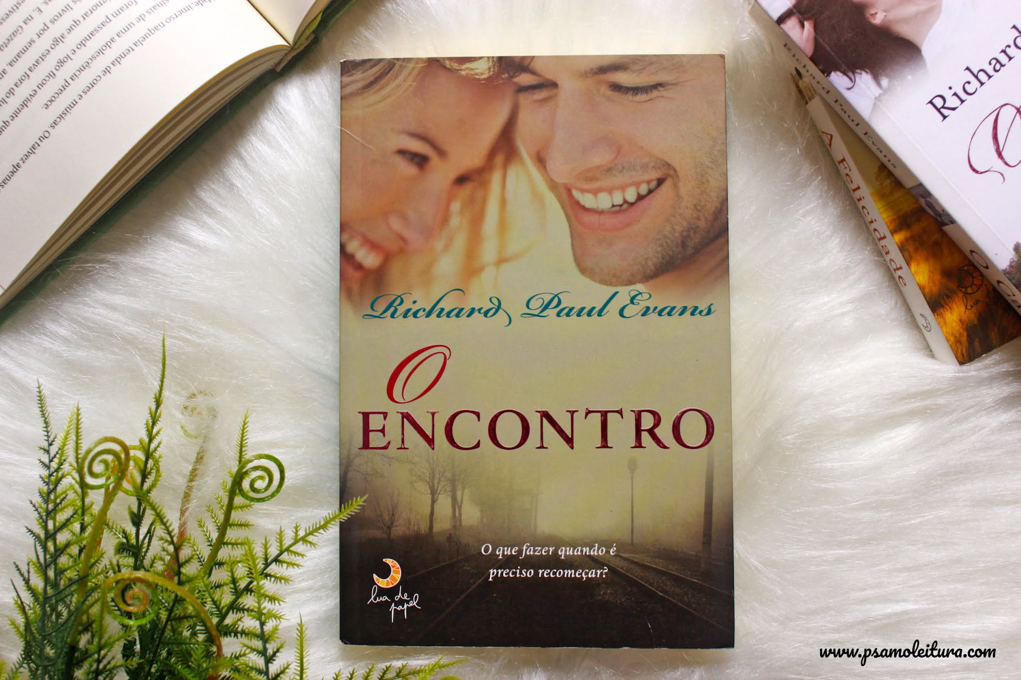 PS Amo Leitura: Resenha | O encontro (The Walk #1), de Richard Paul Evans