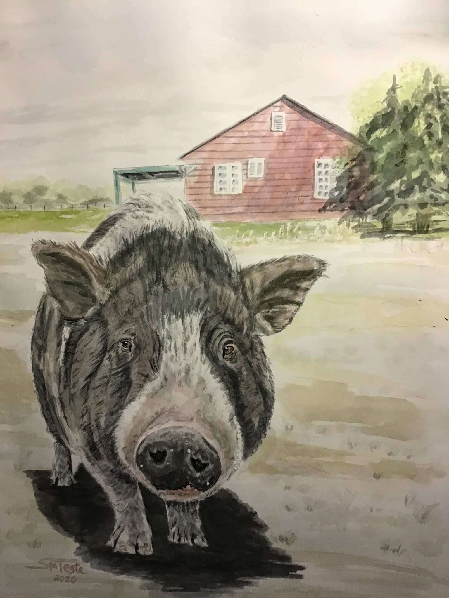 Ironstone Heritage Museum: Meet Artist Stephen Testa