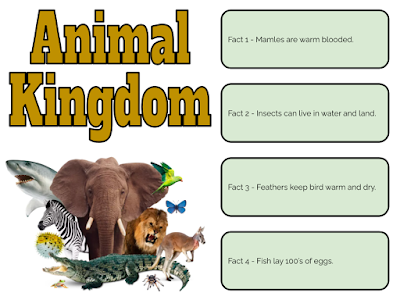 Malynda @ Pt England School: 4 facts - The animal kingdom