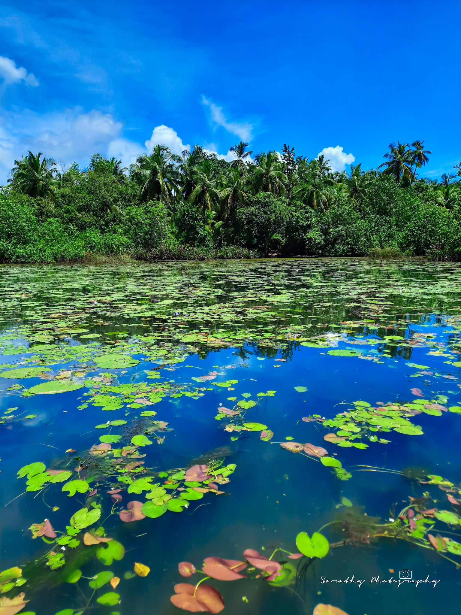 A colourful Boat ride in the Sharavathi Backwaters