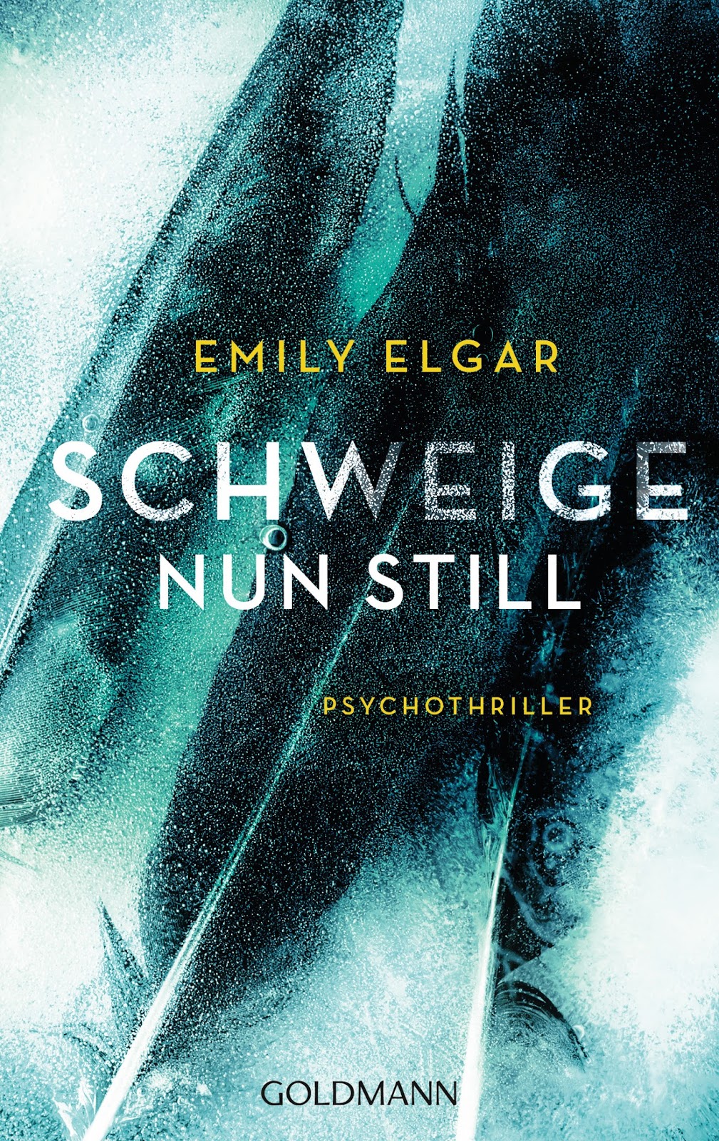 Meine kleine Welt: Schweige nun still von Emily Elgar [Rezension]