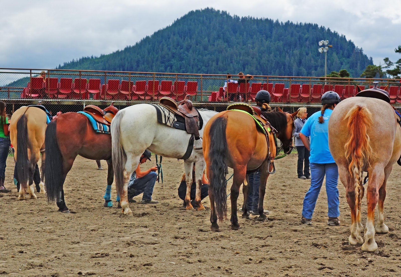 La Lair On Wheels: A day at the King County Fair in Enumclaw ...