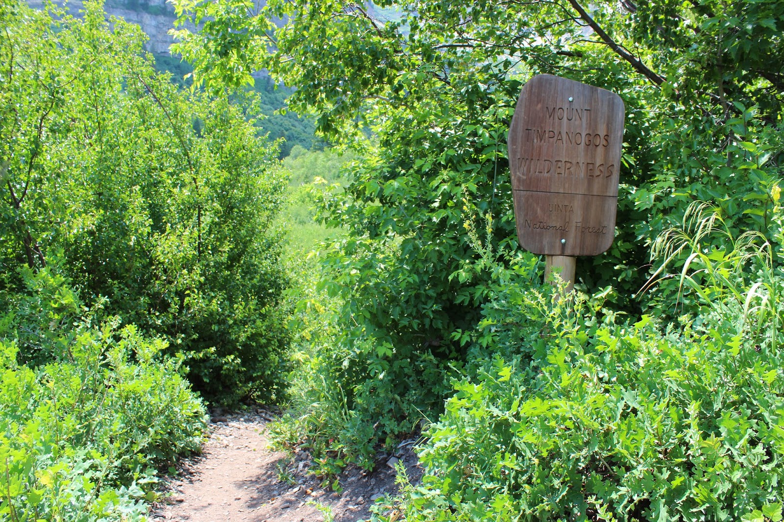 gjhikes.com: Timpanogos Falls