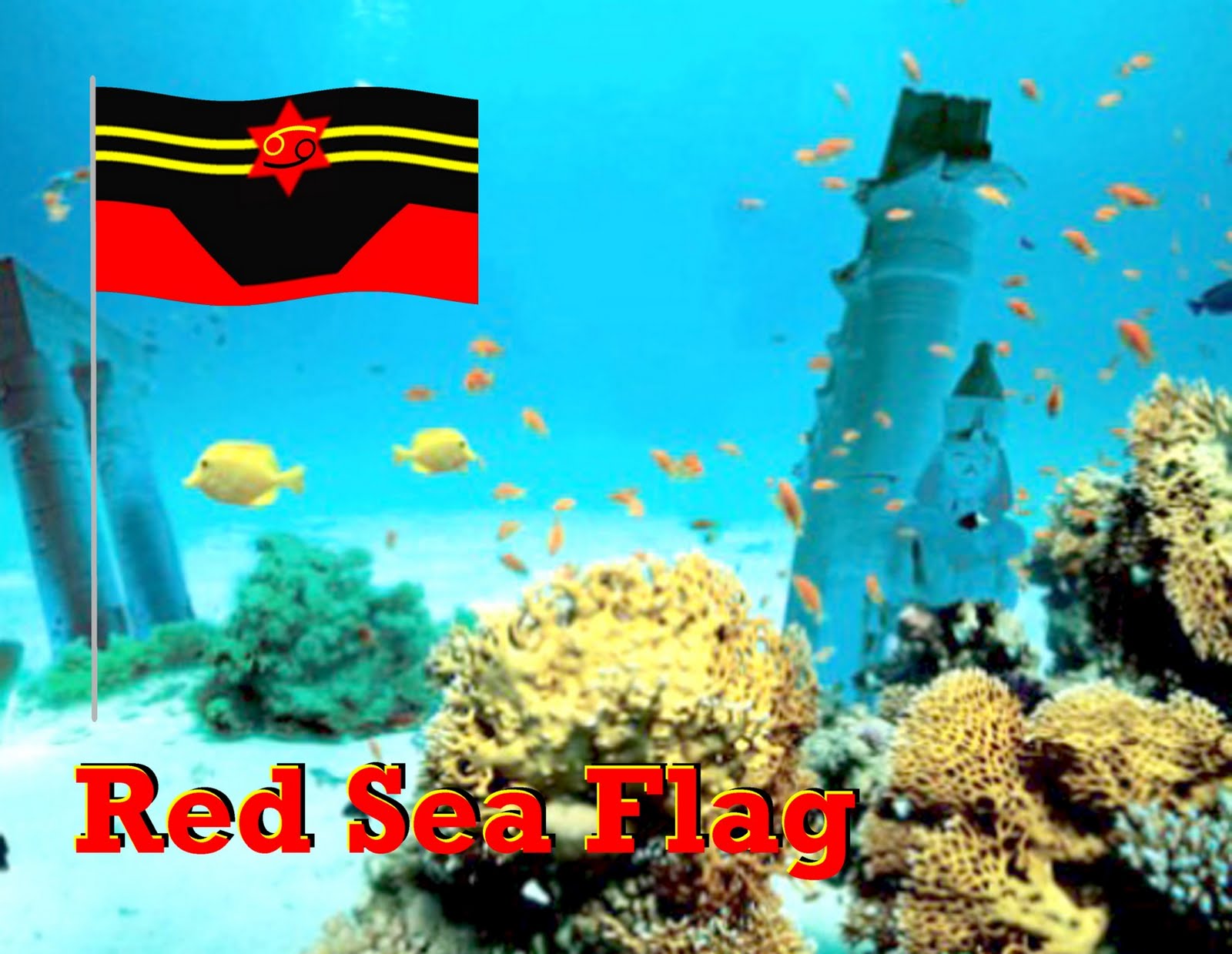 The Voice of Vexillology, Flags & Heraldry: Red Sea Flag