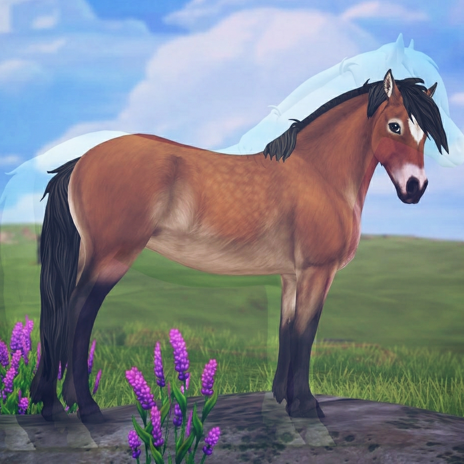 scoozie-mouse: starstable prietpraat #29