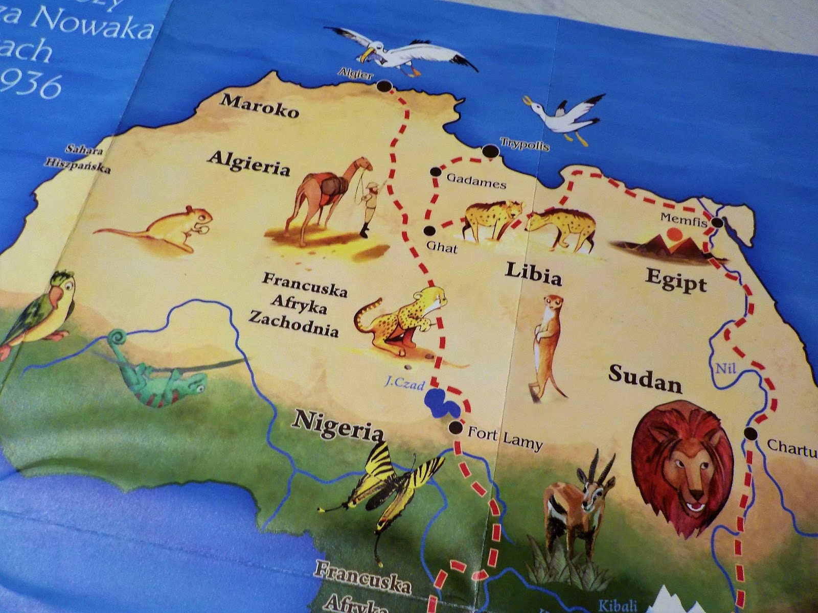 Afryka Kazika - Wydawnictwo Bis