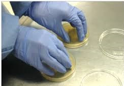 Pharmaceutical Microbiology