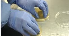 Pharmaceutical Microbiology