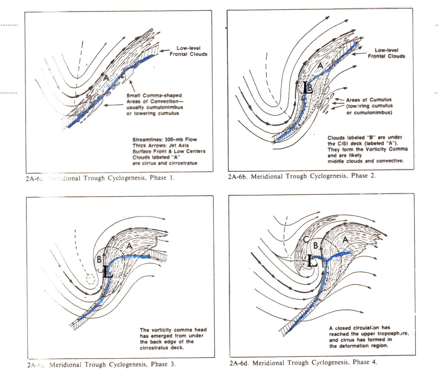 Cliff Mass Weather Blog: The Truth about the "Baroclinic Leaf"