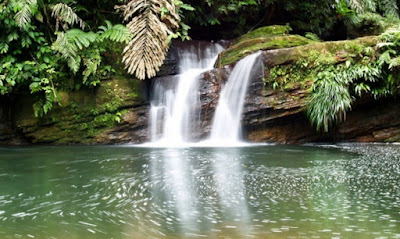 Parques Nacionales de Panamá: "Pulmones de Nuestro país": Parque ...