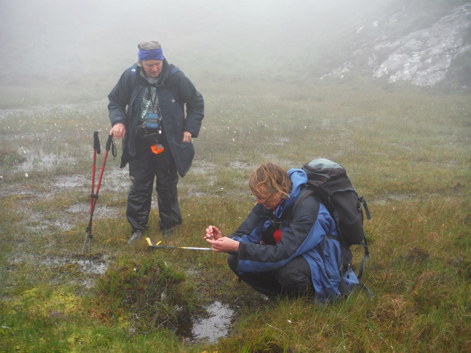 A glimpse into another world...