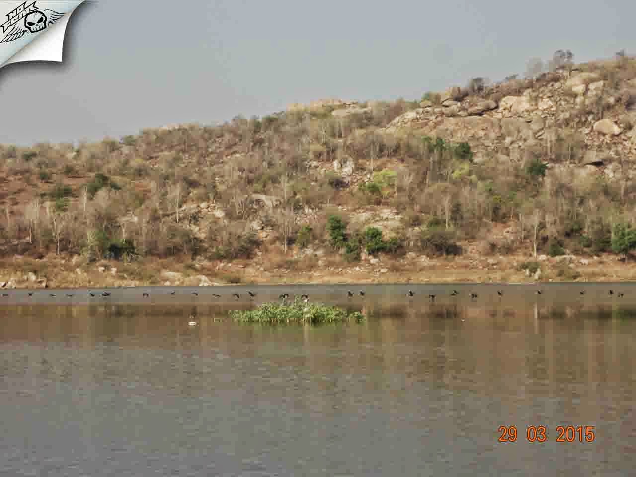 Manchinbele dam - Incredible View 29/03/2015