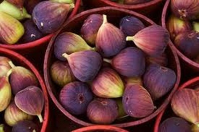 O melhor Alentejo do Mundo: Figos, o fruto perfeito