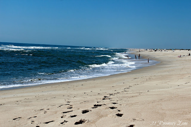 21 Rosemary Lane: Our Camping Getaway ~ Assateague Island