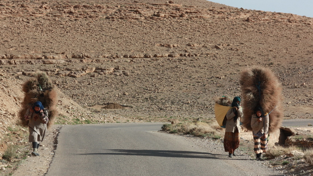 Notre tour du Maroc 2014: 22 mars - du Todra à Goulmima via Assoul