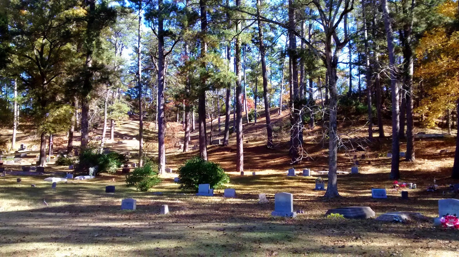 Living Rootless: North Louisiana: Columbia