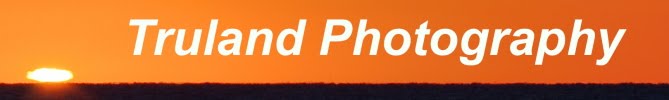 TrulandPhoto Blog
