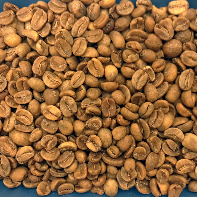 Los colores del café verde