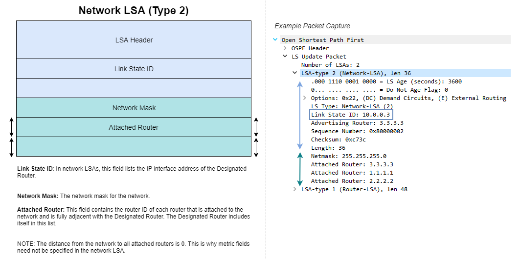 Christmas Calendar: OSPF LSAs