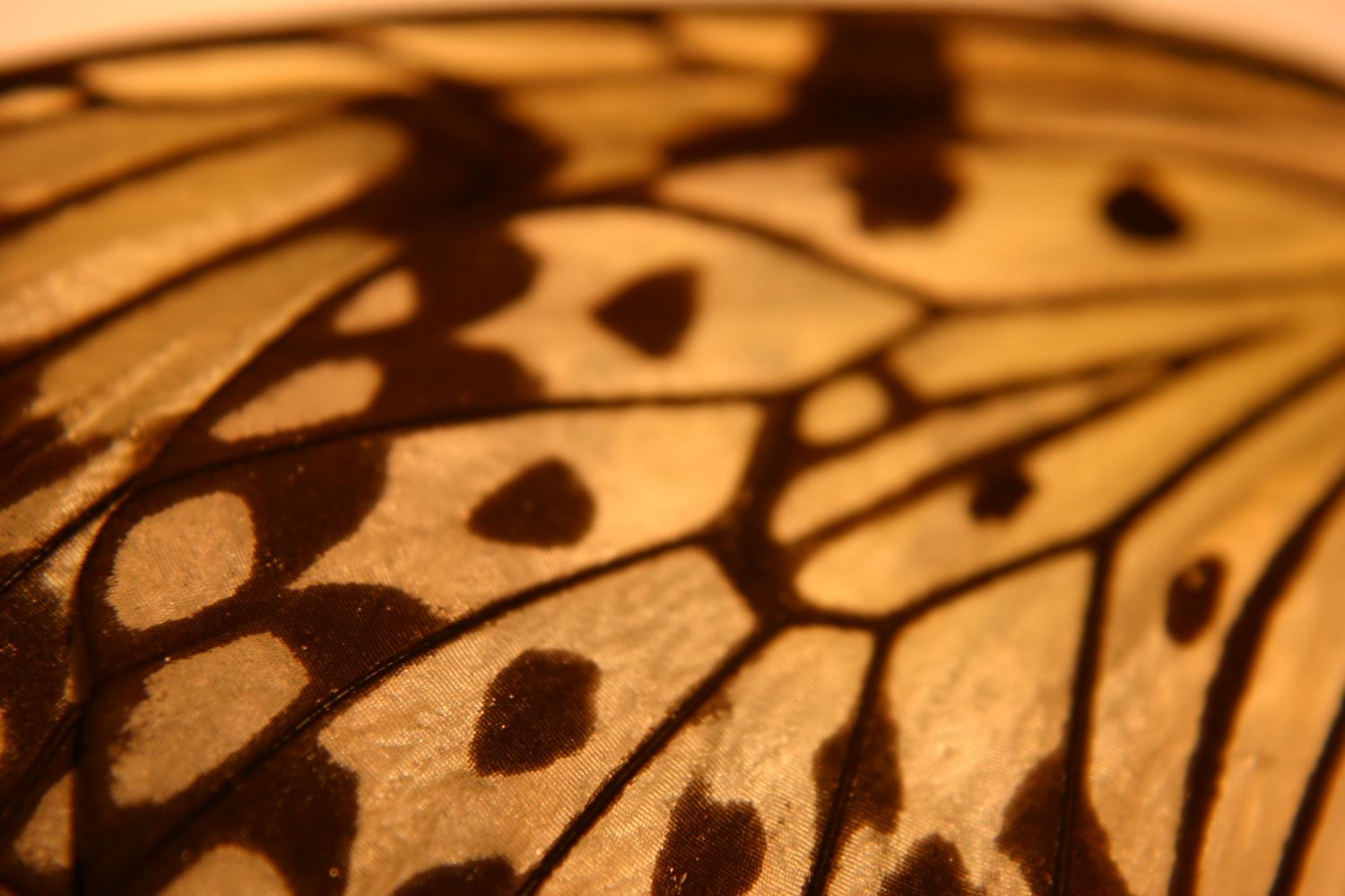 DSDN 104: Textures For Final Render