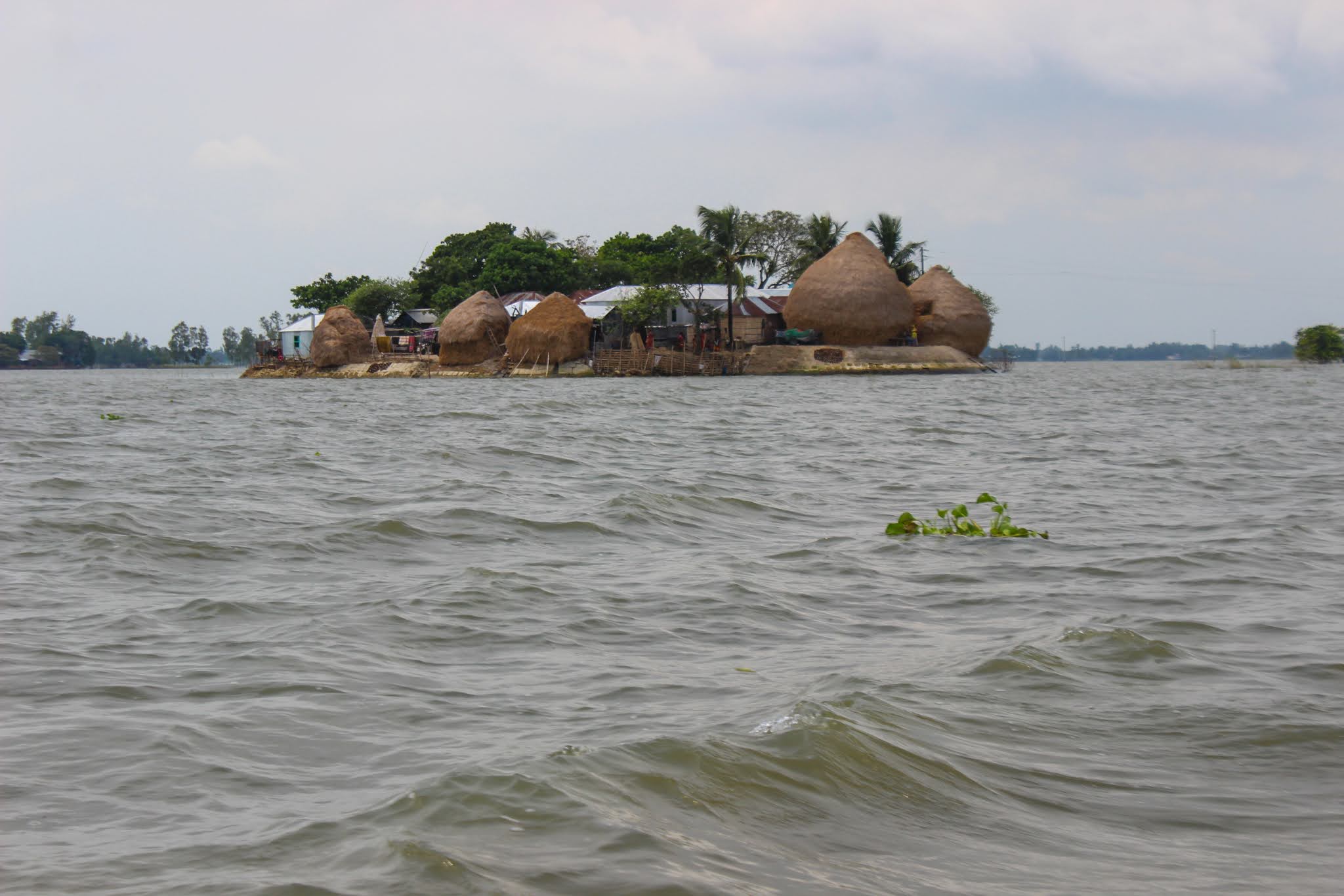 Nature Notes: Chalan Beel: The largest watershed in Bangladesh