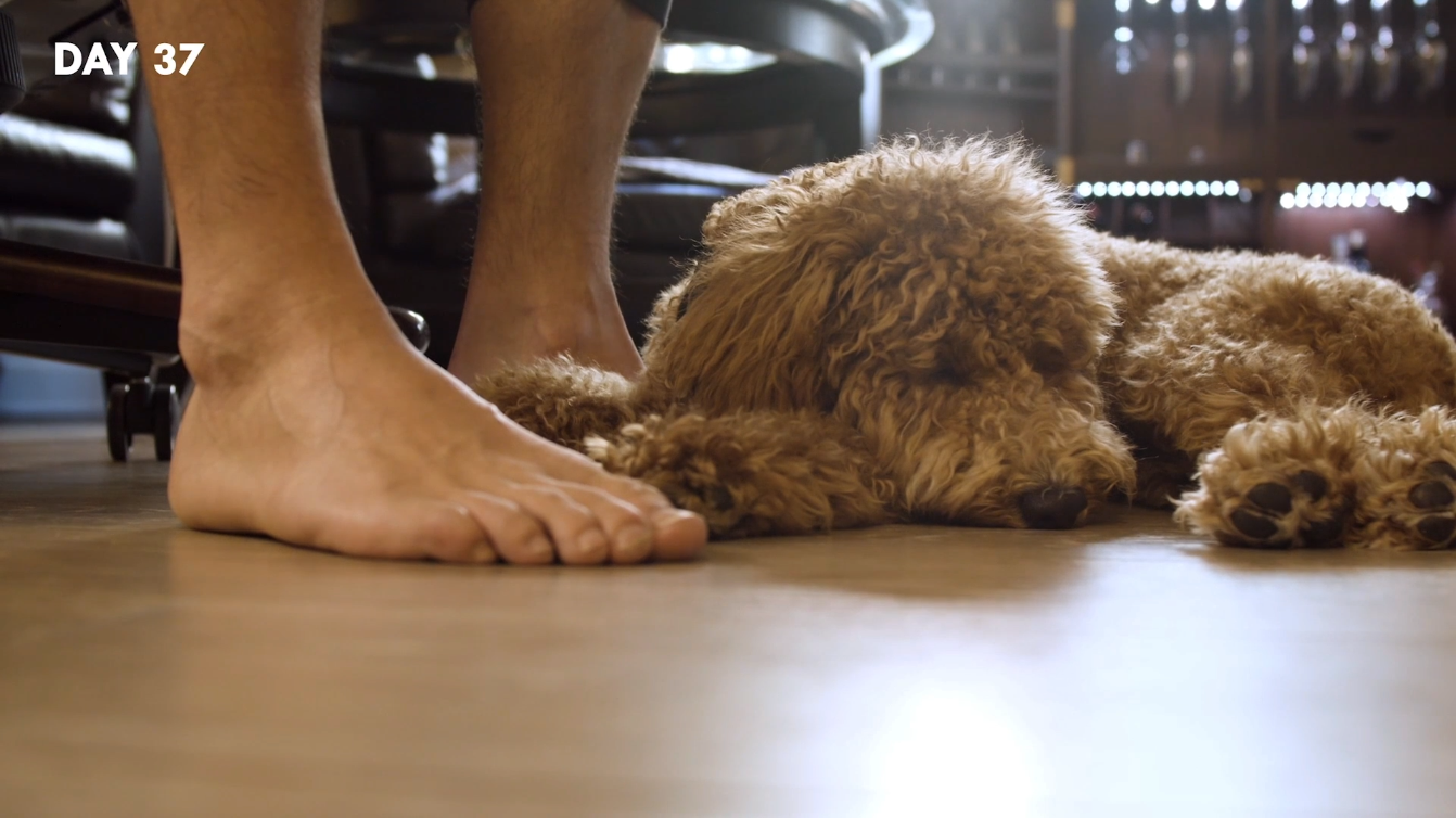 Mitchell Hoog, Brandon Shaffer, Zachariah West, Gabriel S. Davis, Ted ...