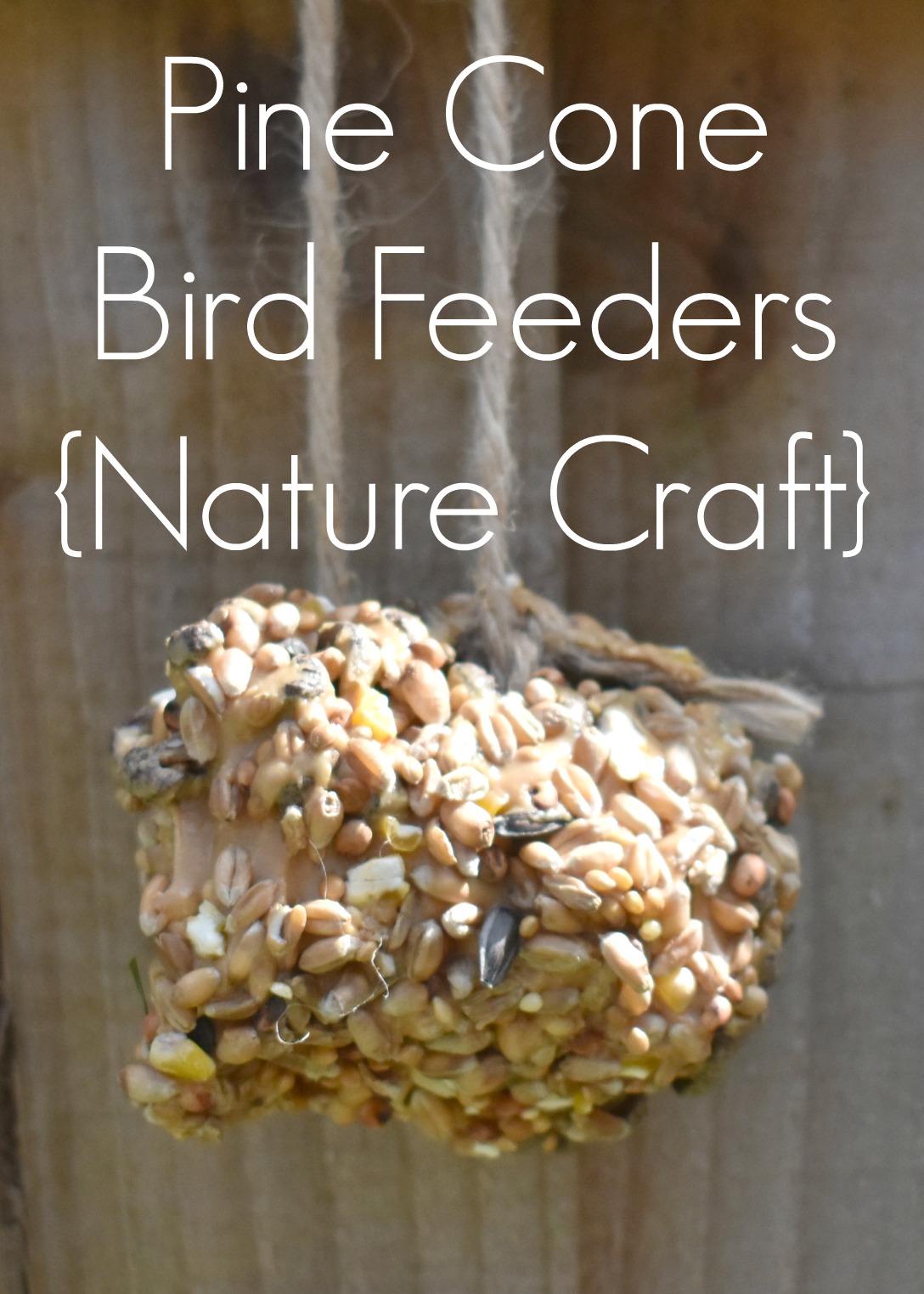 Pine Cone Bird Feeders {Nature Craft} - Whimsical Mumblings