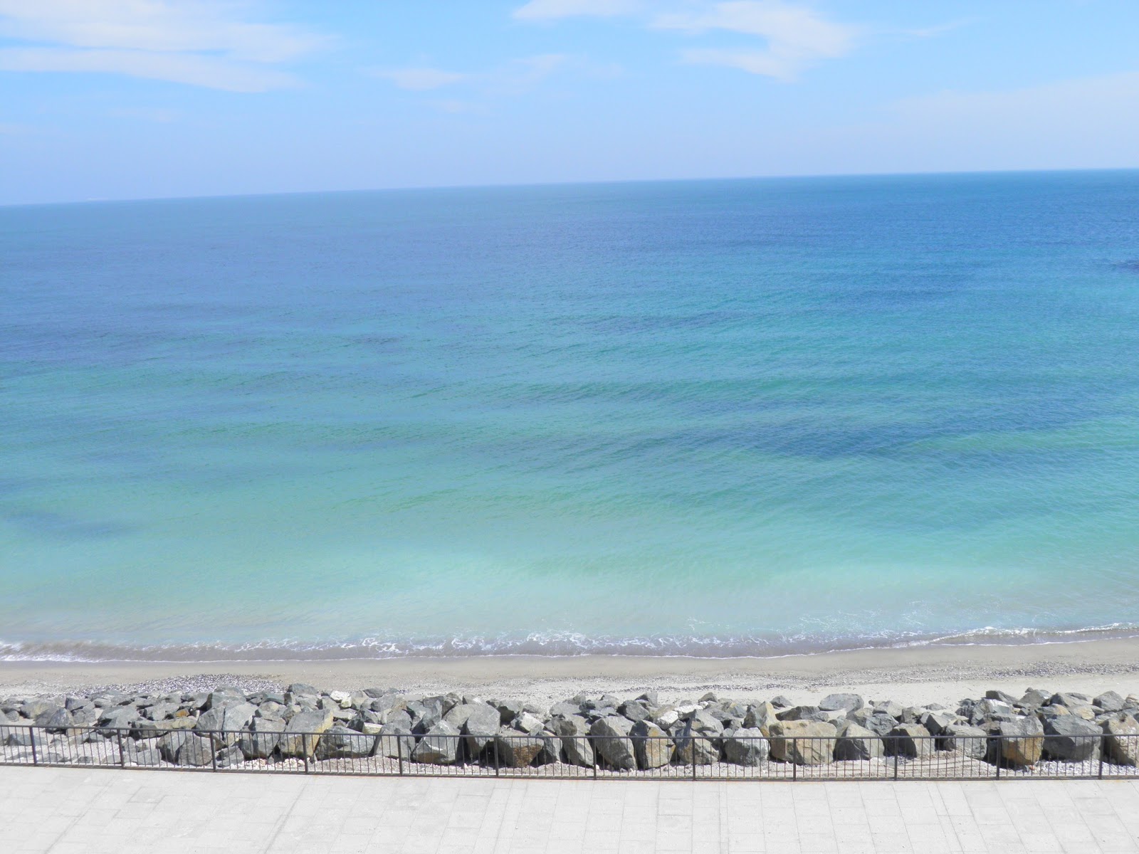 PASARI DIN ROMANIA: CODROS DE MUNTE (2), Phoenicurus ochruros