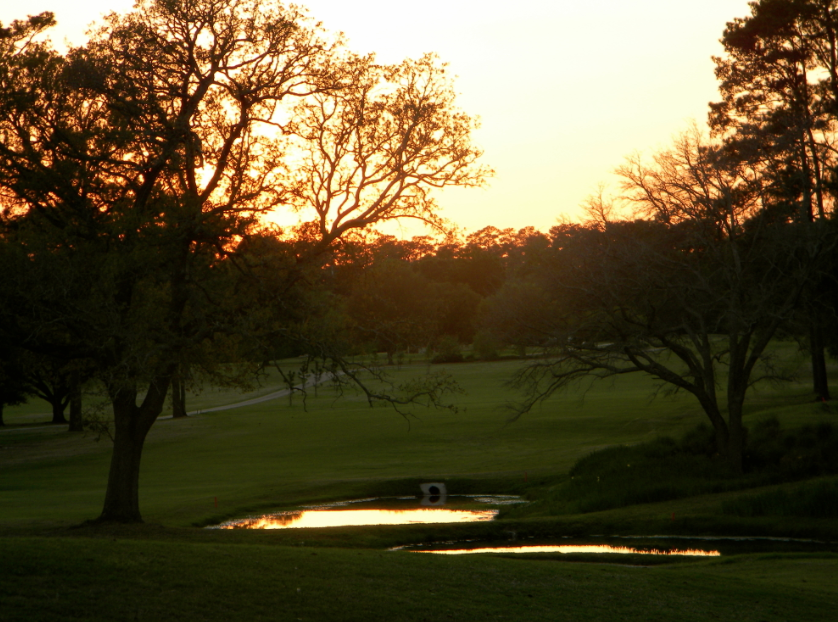 MN Photography: Composition Guidelines